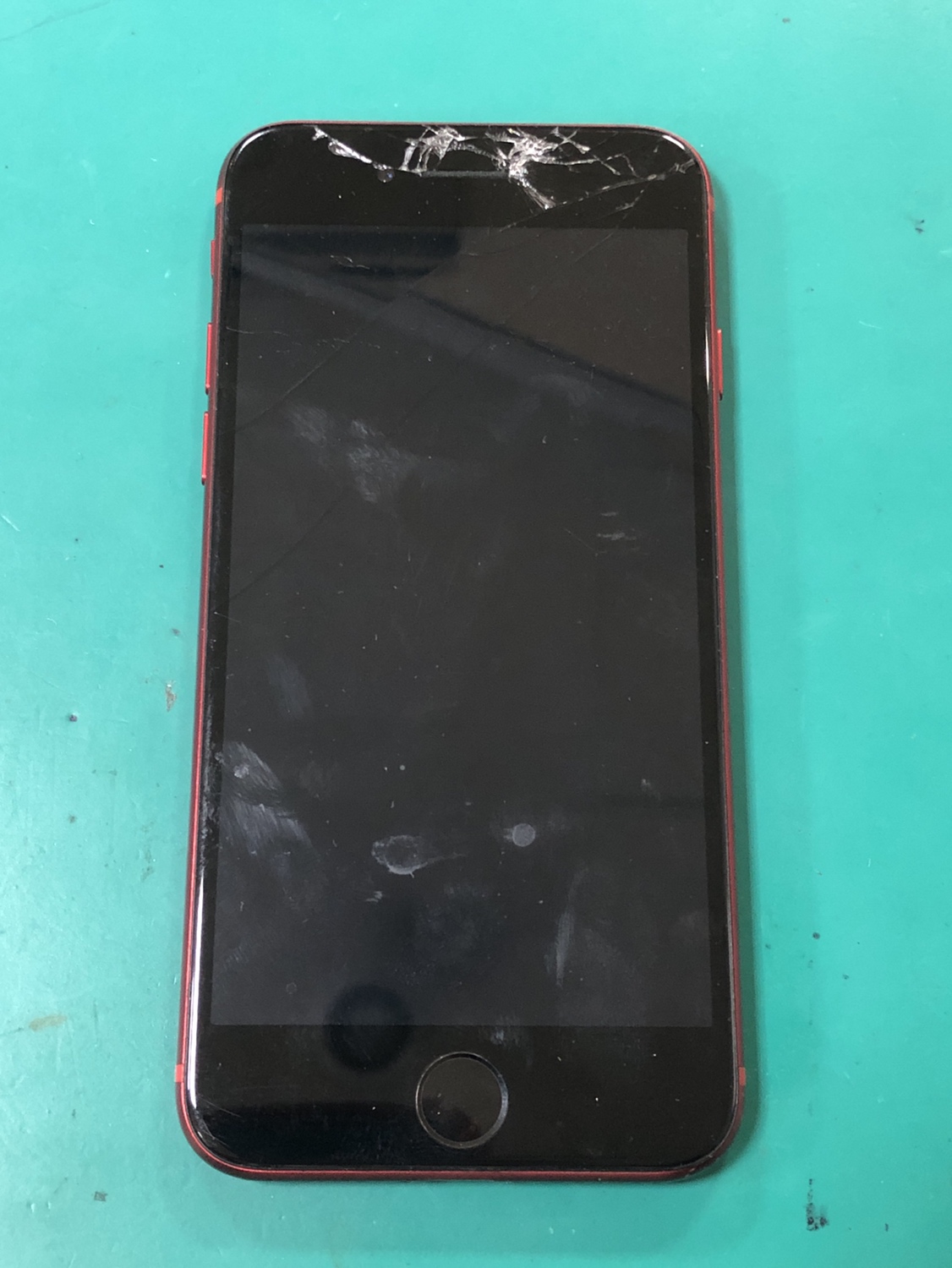 iPhone SE2の画面交換【豊中】 - iPhone修理 スマートクール エトレとよなか店・ららぽーとEXPOCITY店